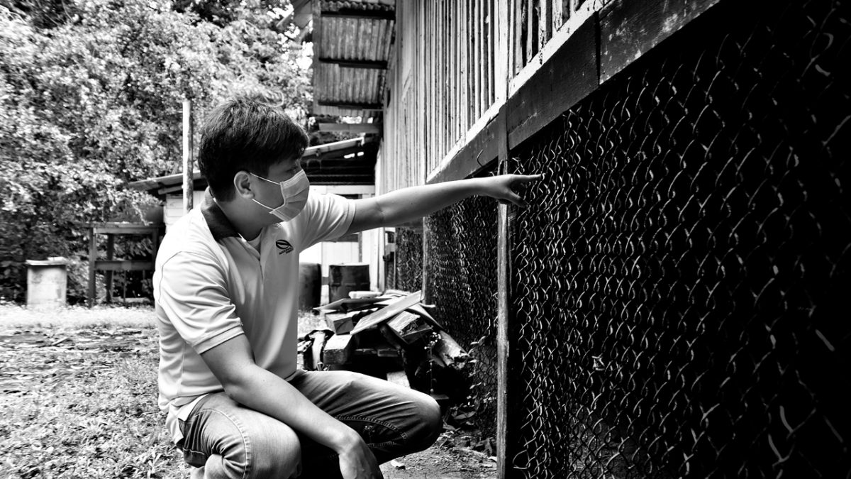A Day in the Life of an NParks Officer on Pulau Ubin - LabourBeat
