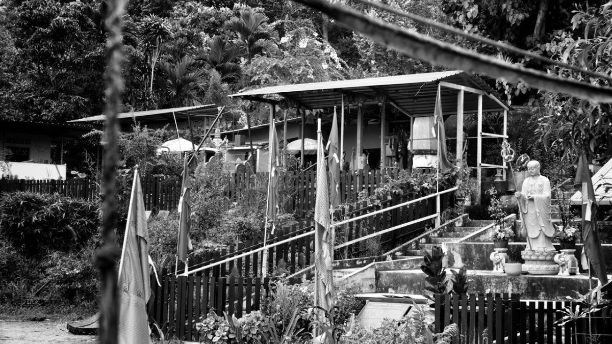 A Day in the Life of an NParks Officer on Pulau Ubin - LabourBeat