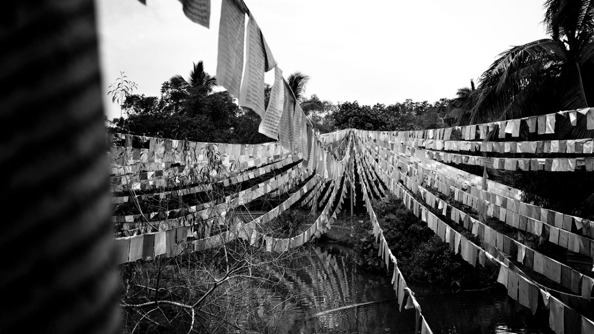 A Day in the Life of an NParks Officer on Pulau Ubin - LabourBeat